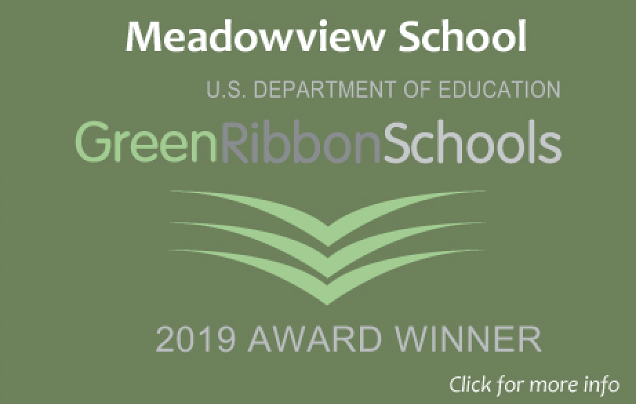Meadowview School